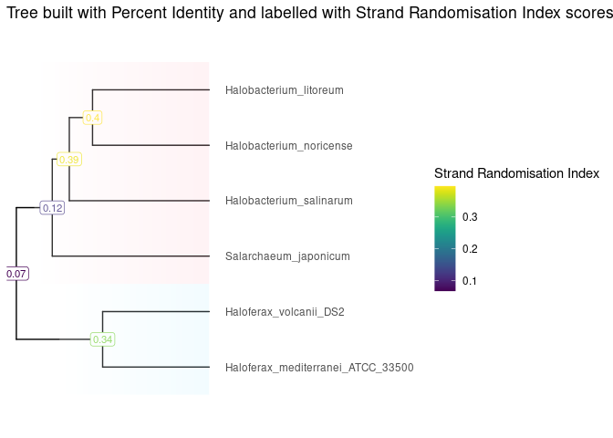 Builds Phylogenetic Trees Showcasing Genome Scrambling in Species ...